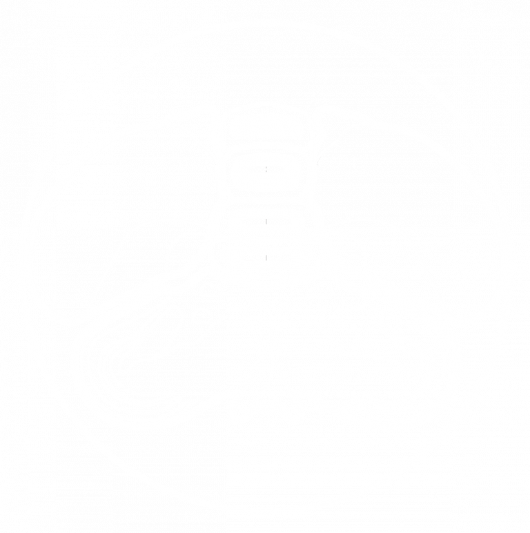 Zebra Finch Brain Architecture - Brain Architecture Project